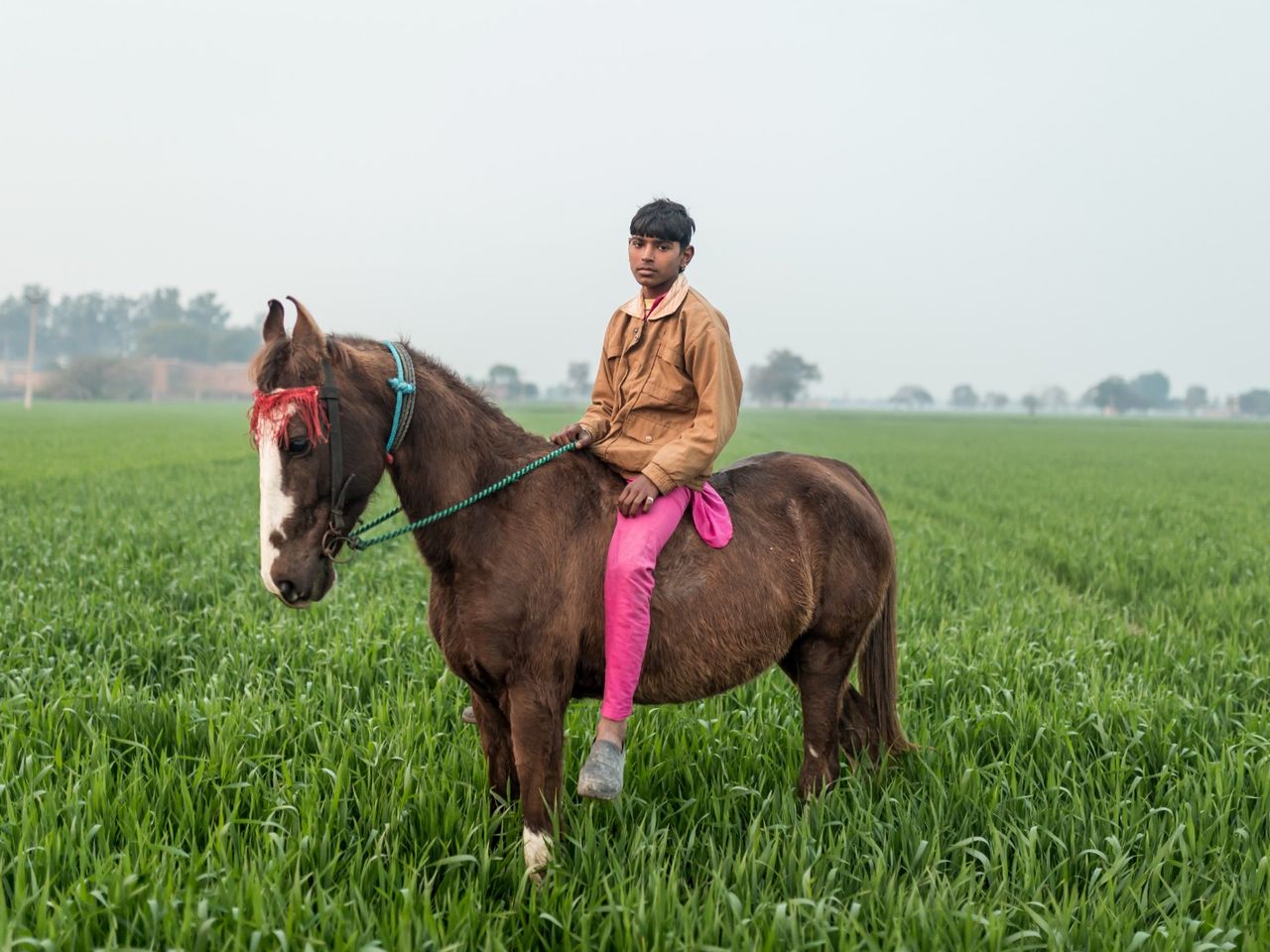 CPB Foundation | CPB Foundation