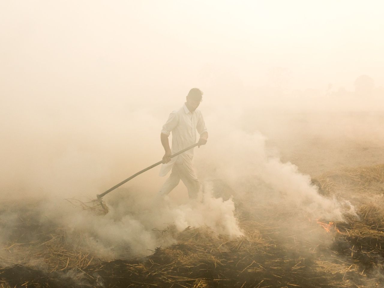 CPB Foundation | CPB Foundation